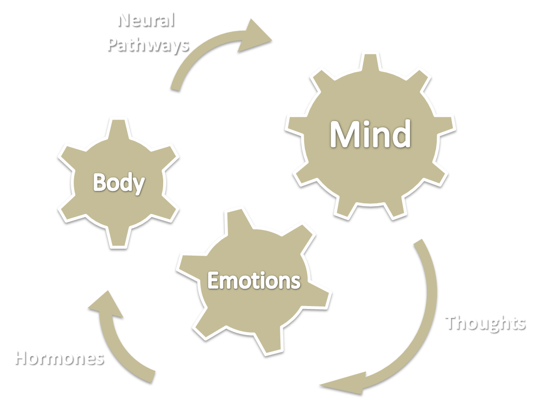 mind body emotions 3